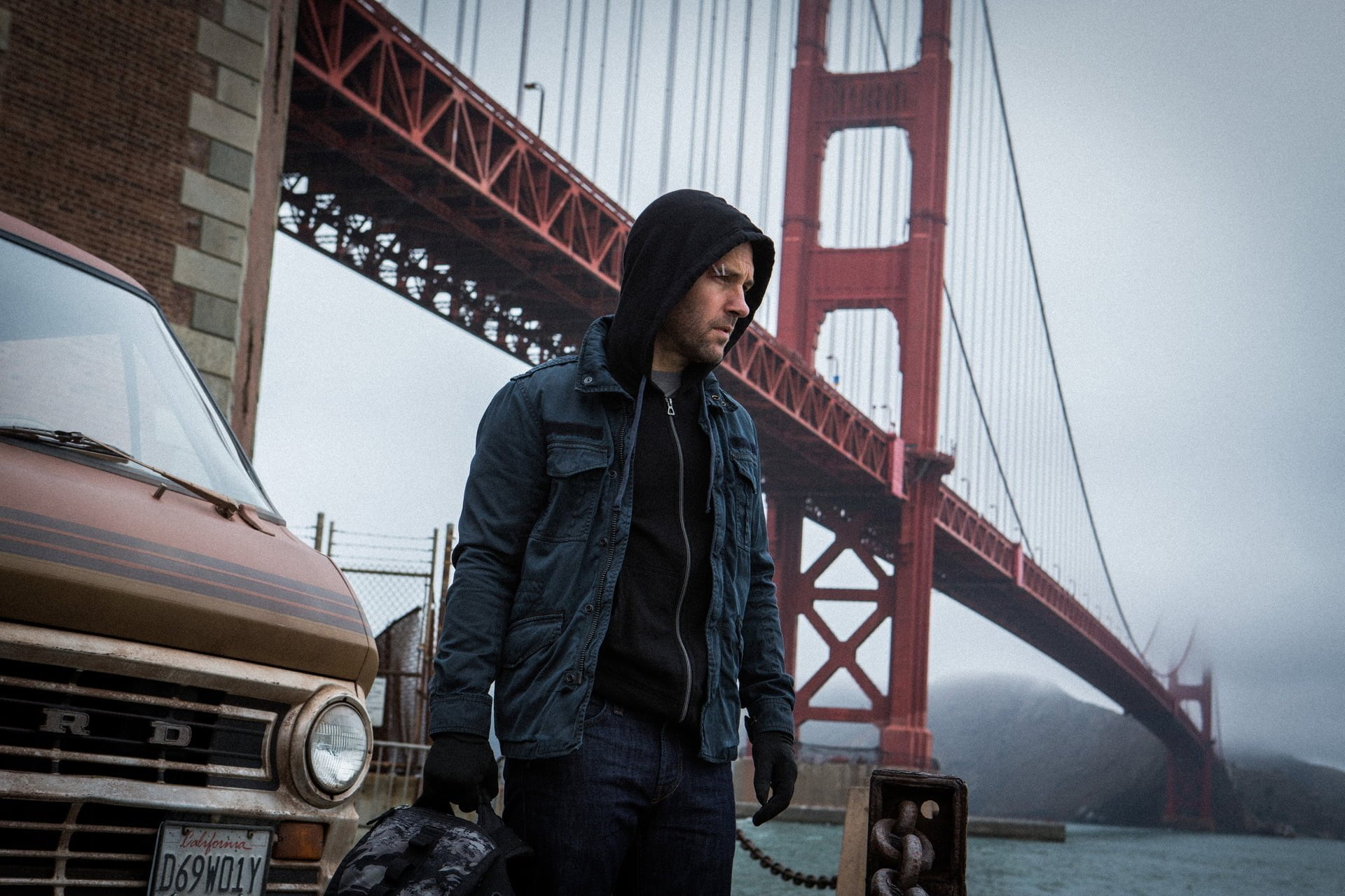 Film review: 'Ant-Man' starring Paul Rudd, Evangeline Lilly & Michael ...