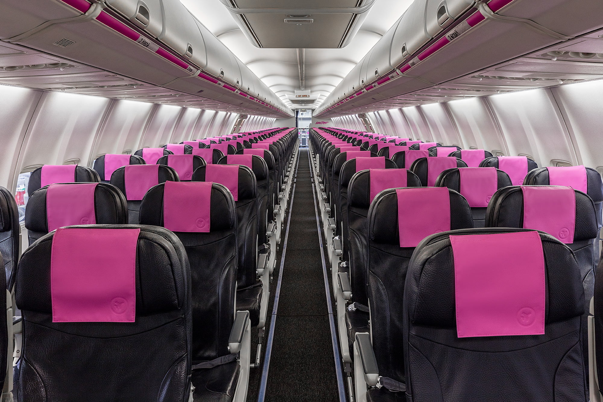 Swoop Flight Review Hamilton To Las Vegas The GATE