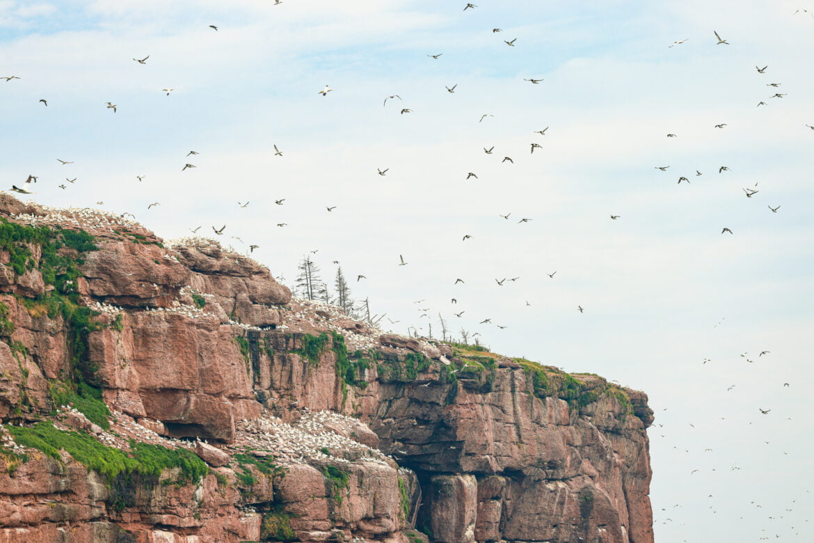 Top 5 reasons to explore Quebec's Gaspé Peninsula