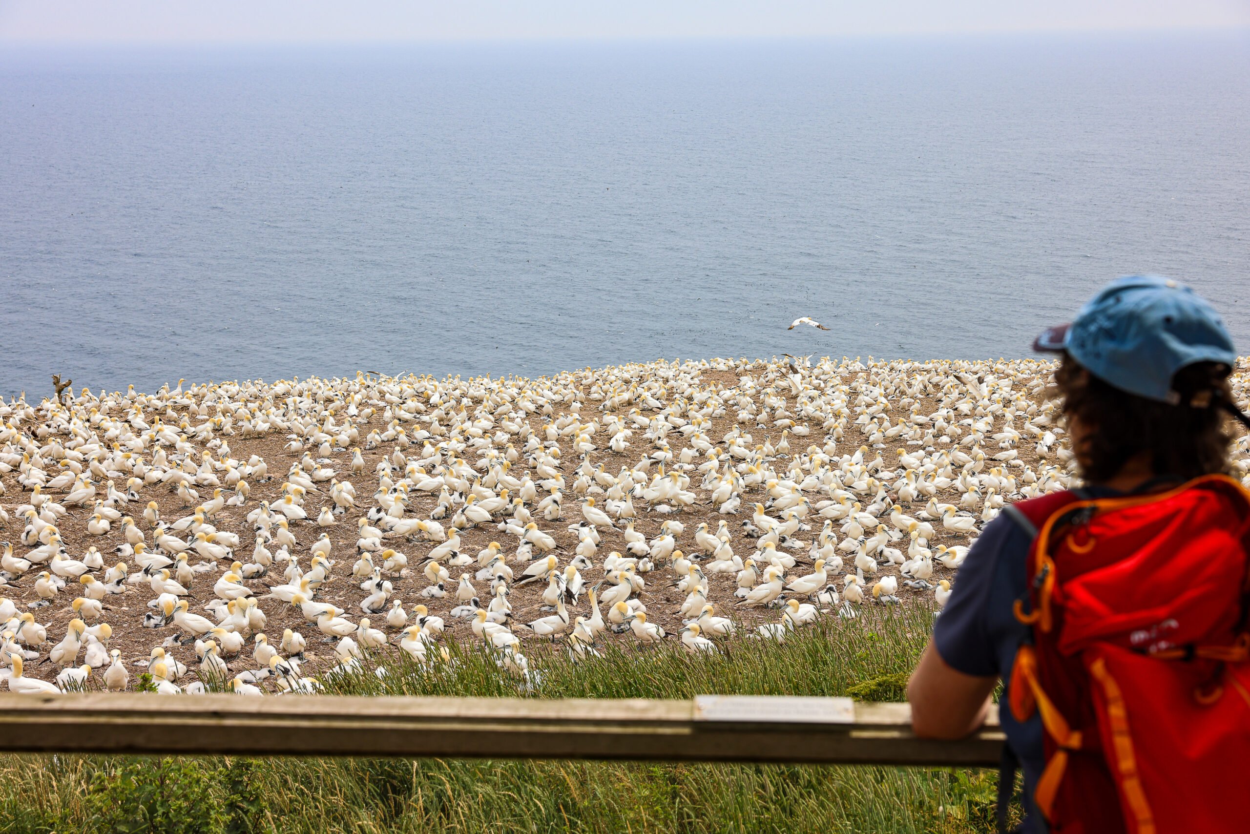Top 5 reasons to explore Quebec's Gaspé Peninsula
