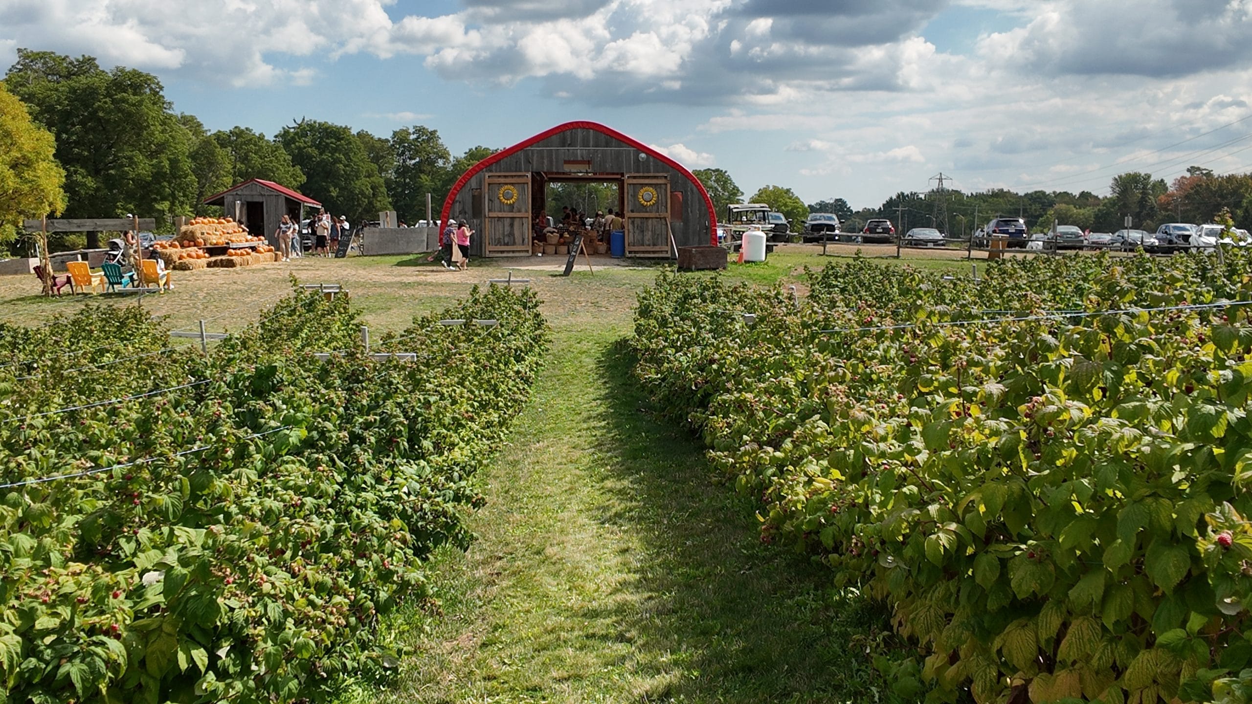 A taste of fall at The Apple Orchard near Hamilton | The GATE