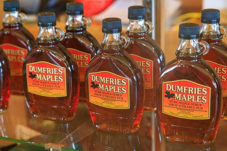 Get a taste of maple syrup in New Brunswick at Dumfries Maples
